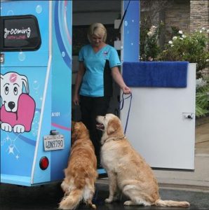 Mobile Dog Grooming San Diego - Awesome Doggies Mobile Pet Grooming