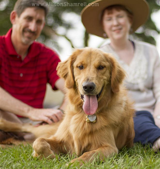 Photography Tips from a Pro - Awesome Doggies Mobile Pet Grooming
